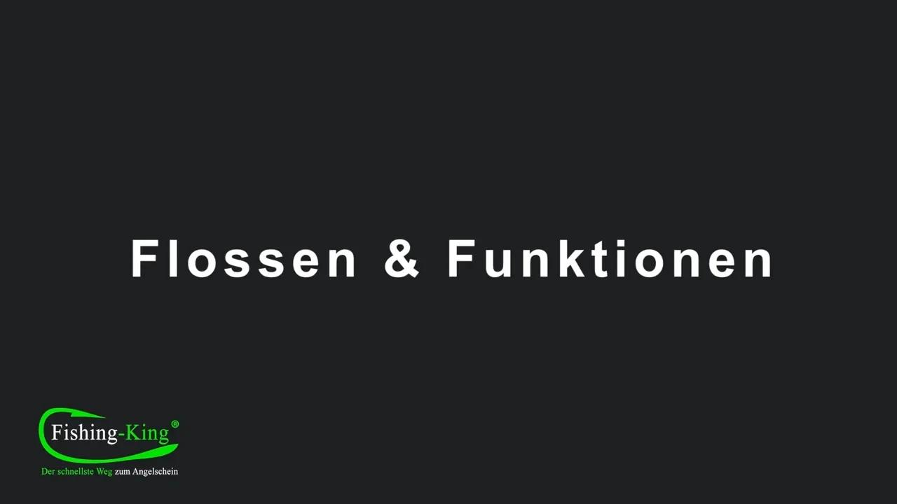 Allgemeine Fischkunde-01-Flossen & Funktionen