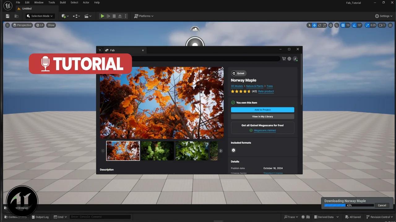 How to claim all the Quixel Megascans for free and install the FAB ...