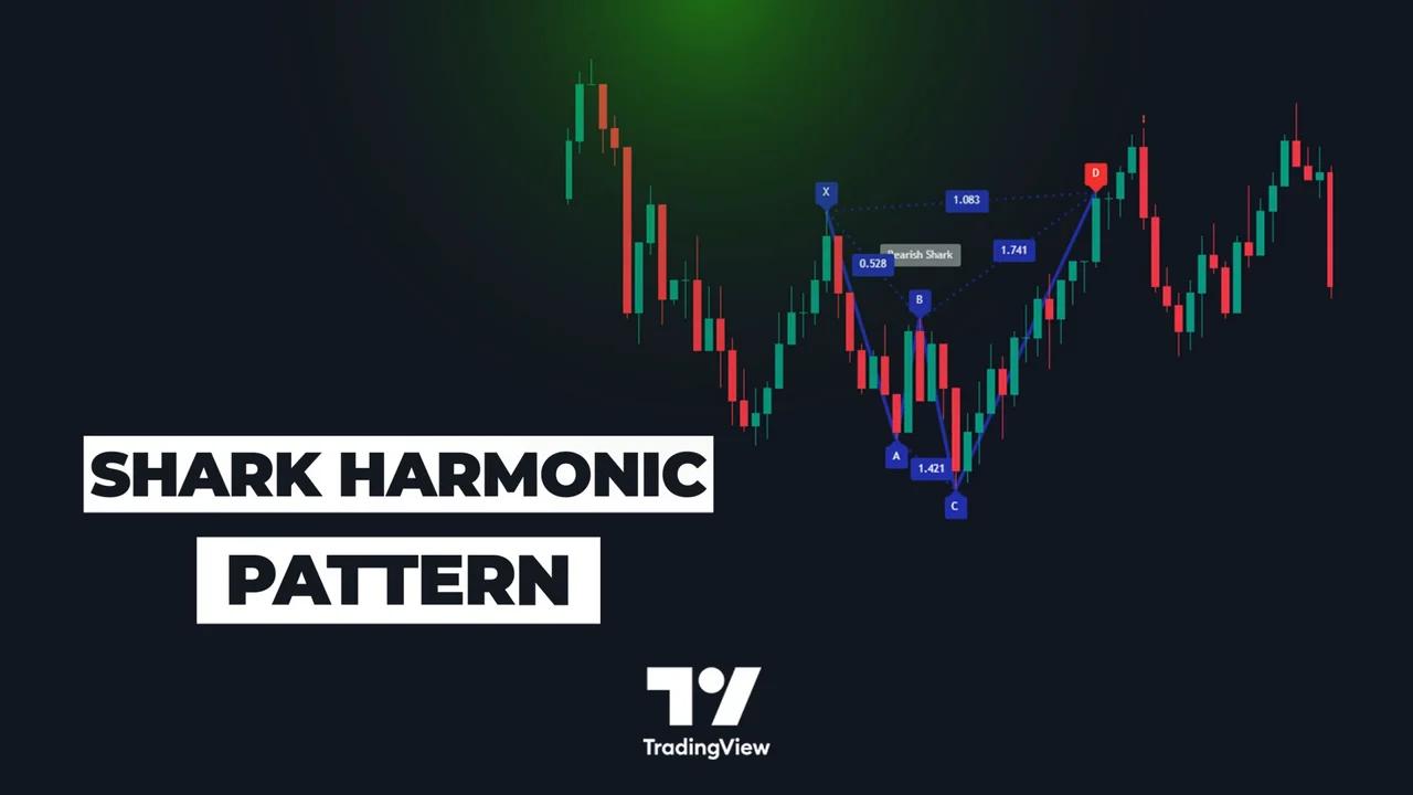 🚀Shark Harmonic Pattern Indicator - Shark Detector in Tradingview ...