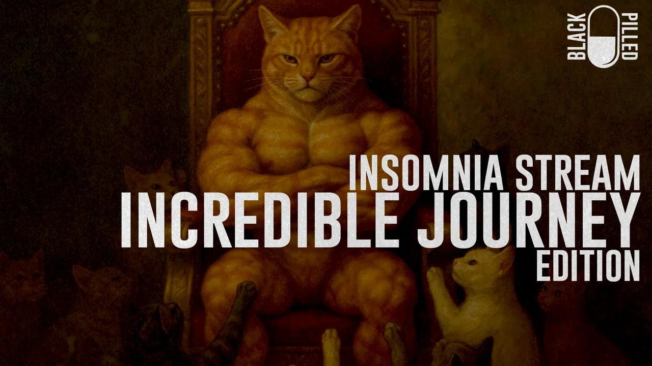 INSOMNIA STREAM: INCREDIBLE JOURNEY EDITION