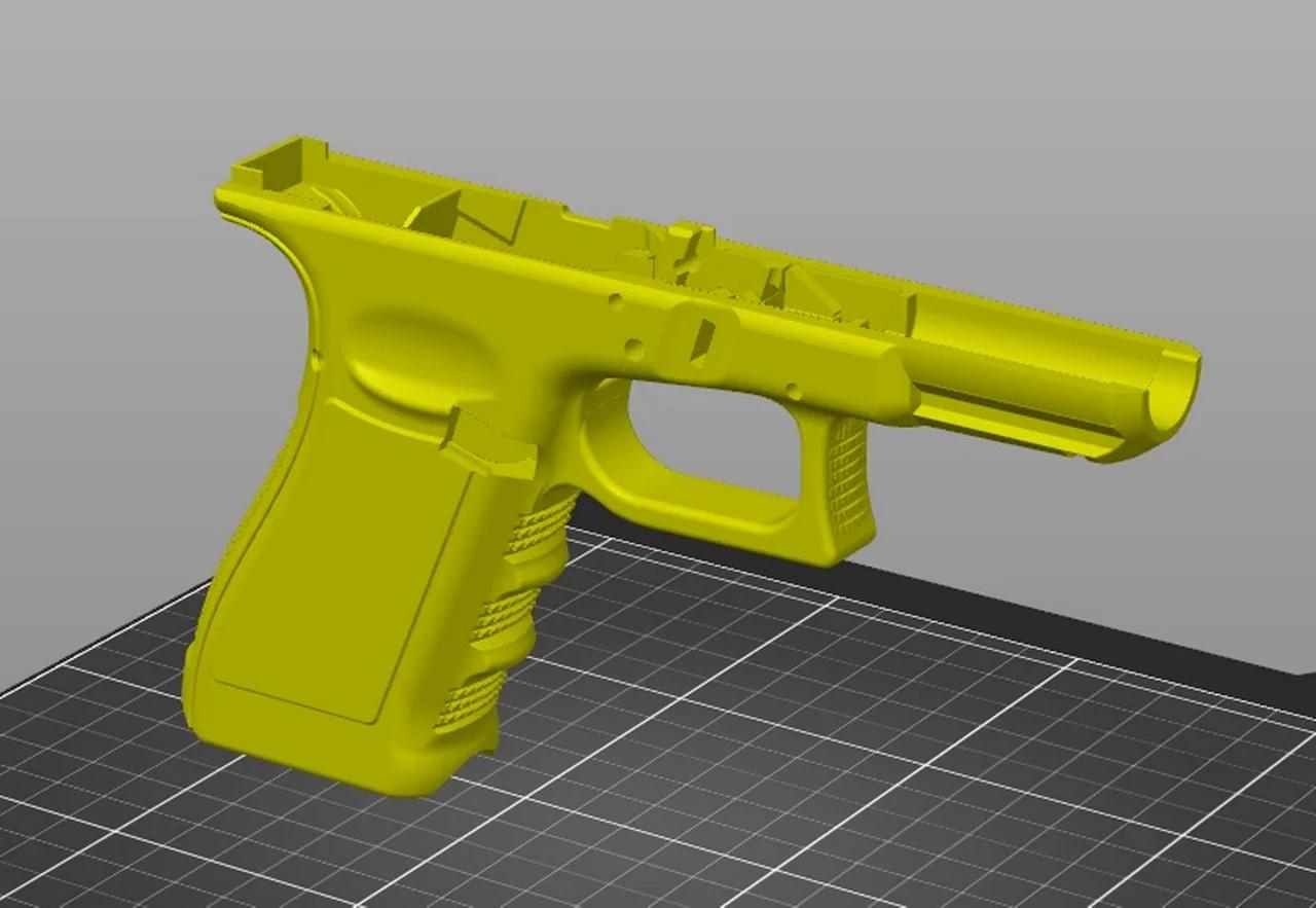 G19x Frame with P80 front rail and PSA dagger rear rail