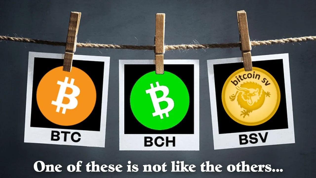 Why BCH and BSV Are So Fragile Compared to BTC 🤔
