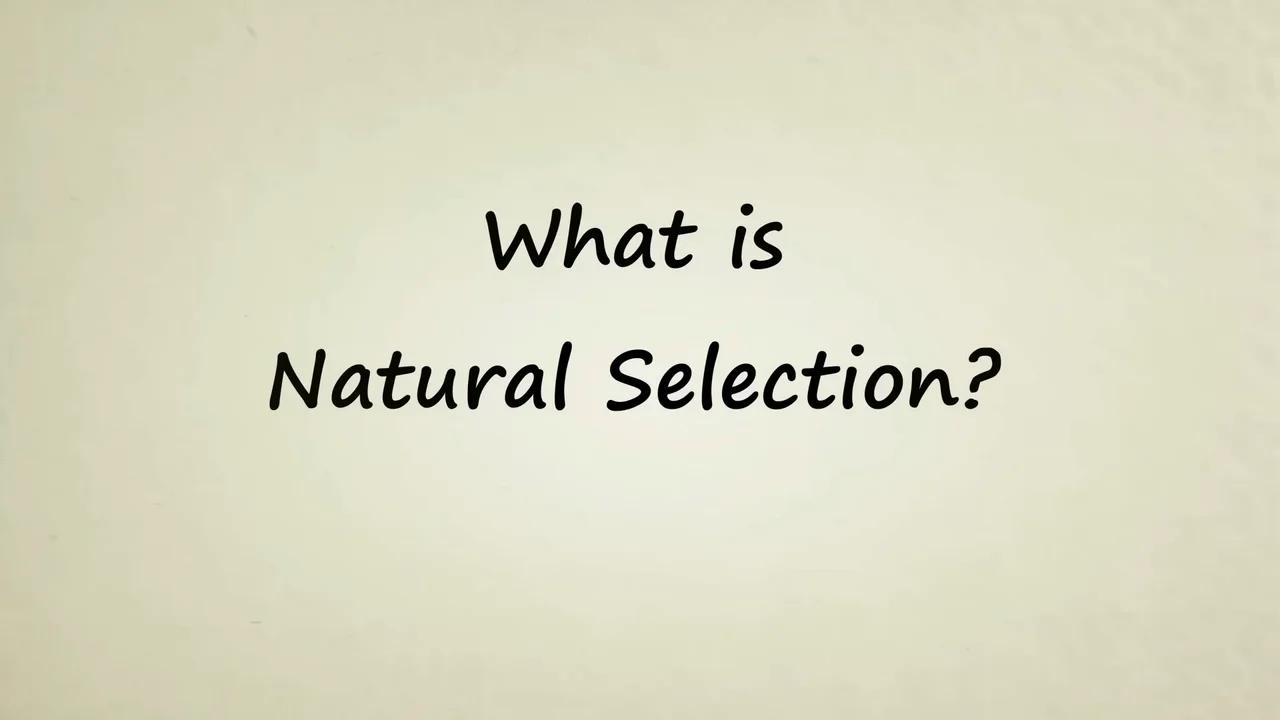What is Natural Selection