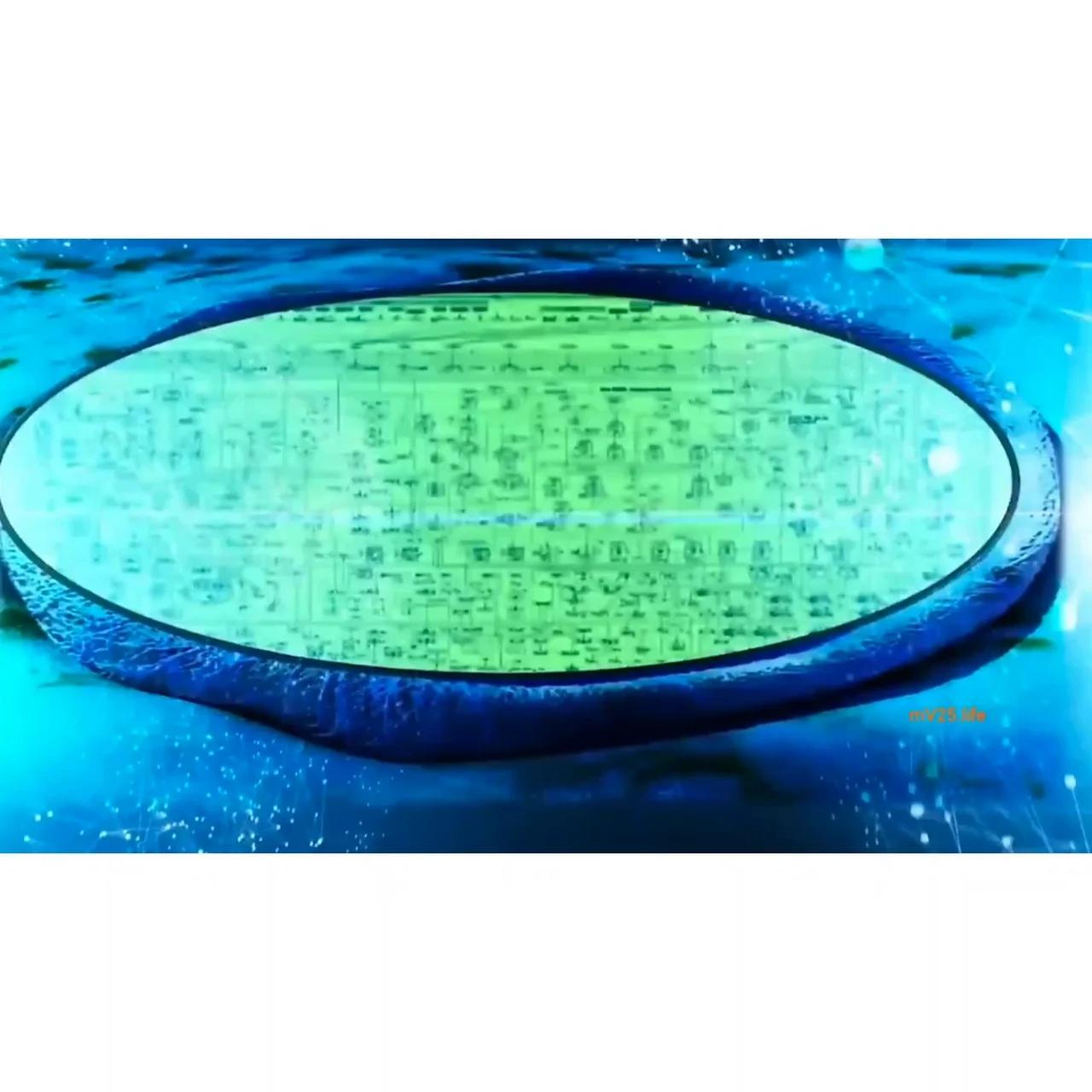 The Technology Behind mV25™