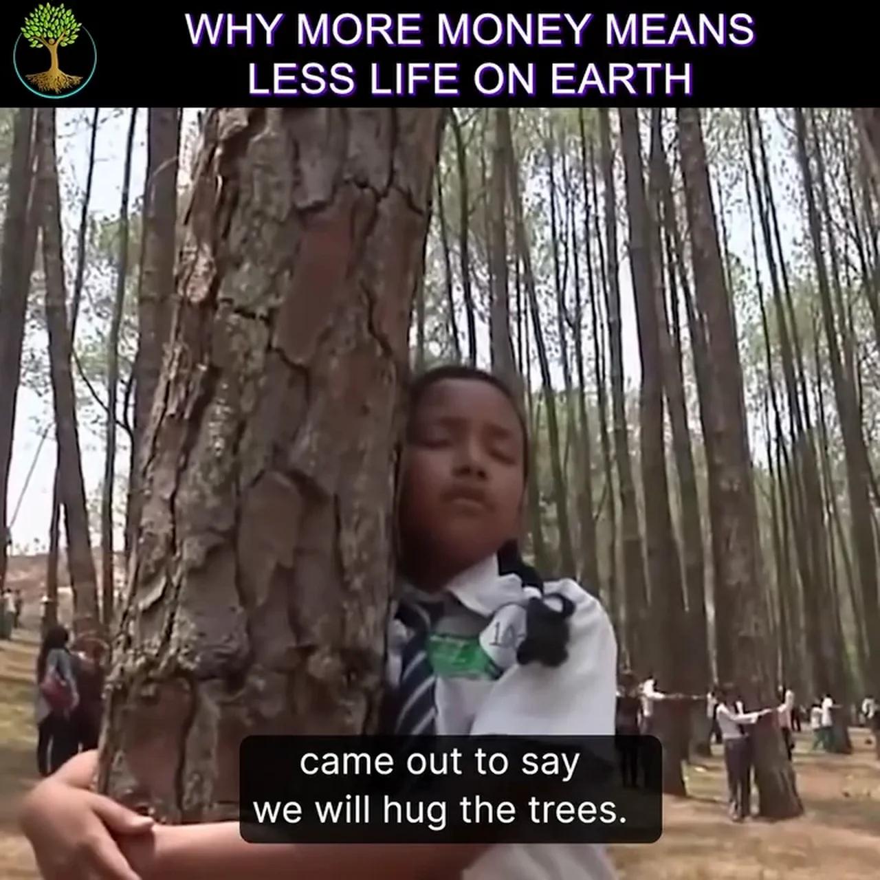 Why More Money Means Less Life On Earth
