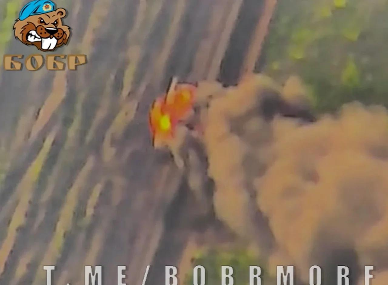 📽️-A 🇬🇧&🇫🇷, The Mighty Beavers go out hunting