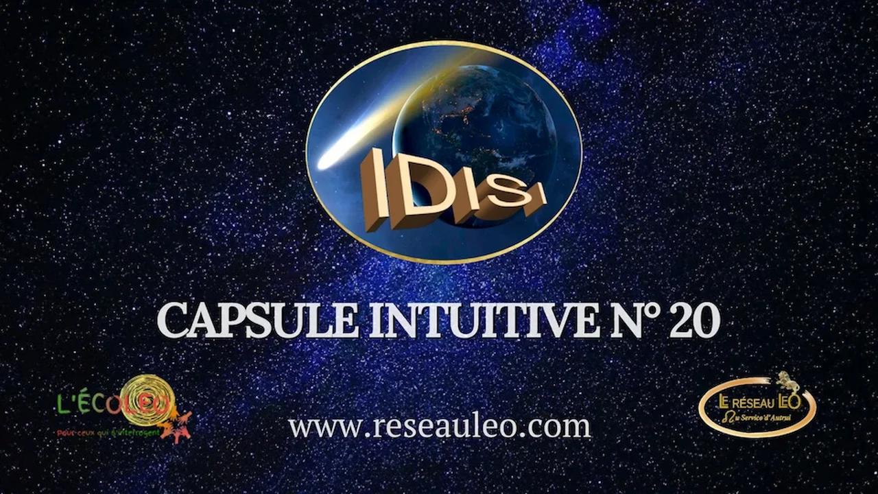 20. L'IDISI par le Réseau LEO : CAPSULE INTUITIVE 20