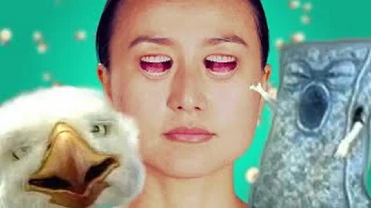 weird adverts and cursed commercials compilation