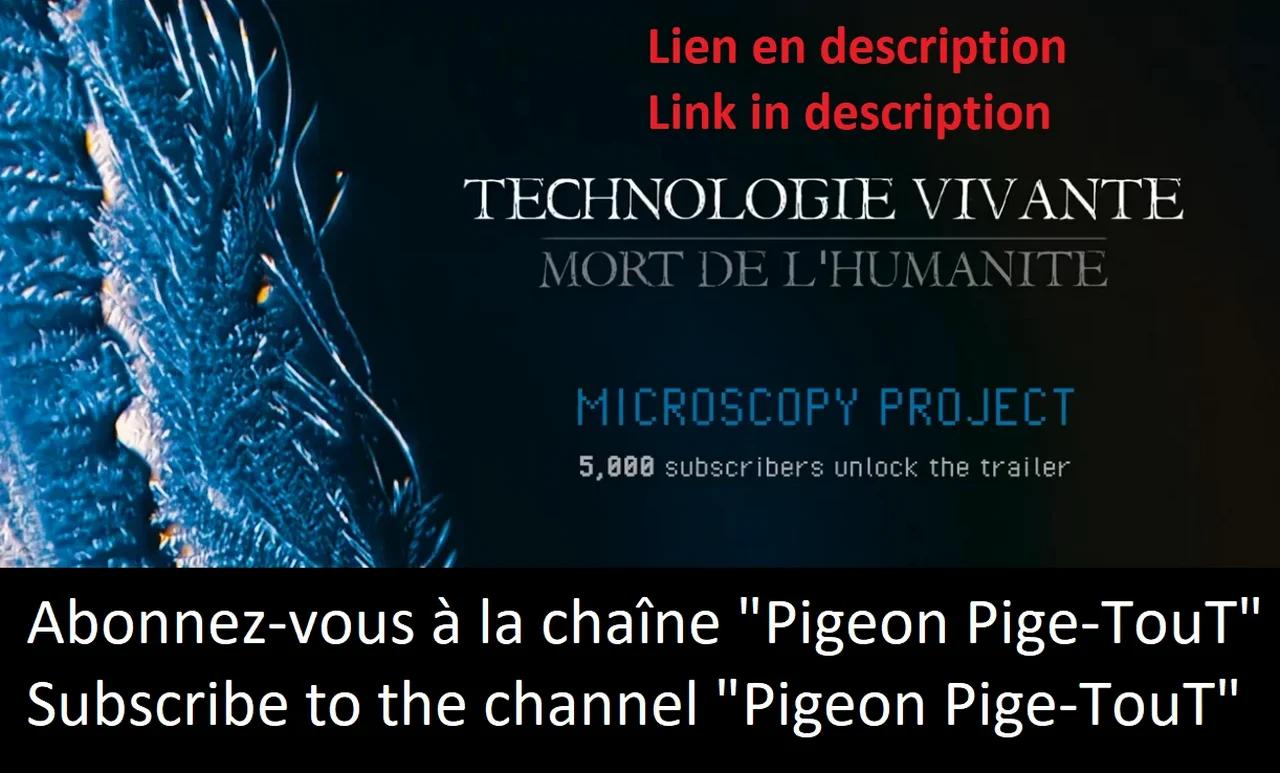 Abonnez-vous à la chaîne "Pigeon Pige-TouT"