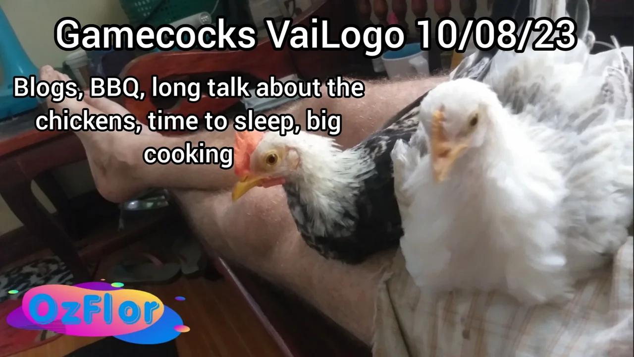 Gamecocks VaiLogo (Vlog) 10/08/23 - Blogs, BBQ, long talk about the ...