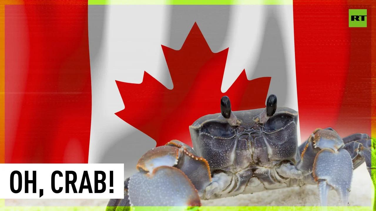 Canadian protesters demand ‘tyrant’ Trudeau’s resignation, while Ottawa ...