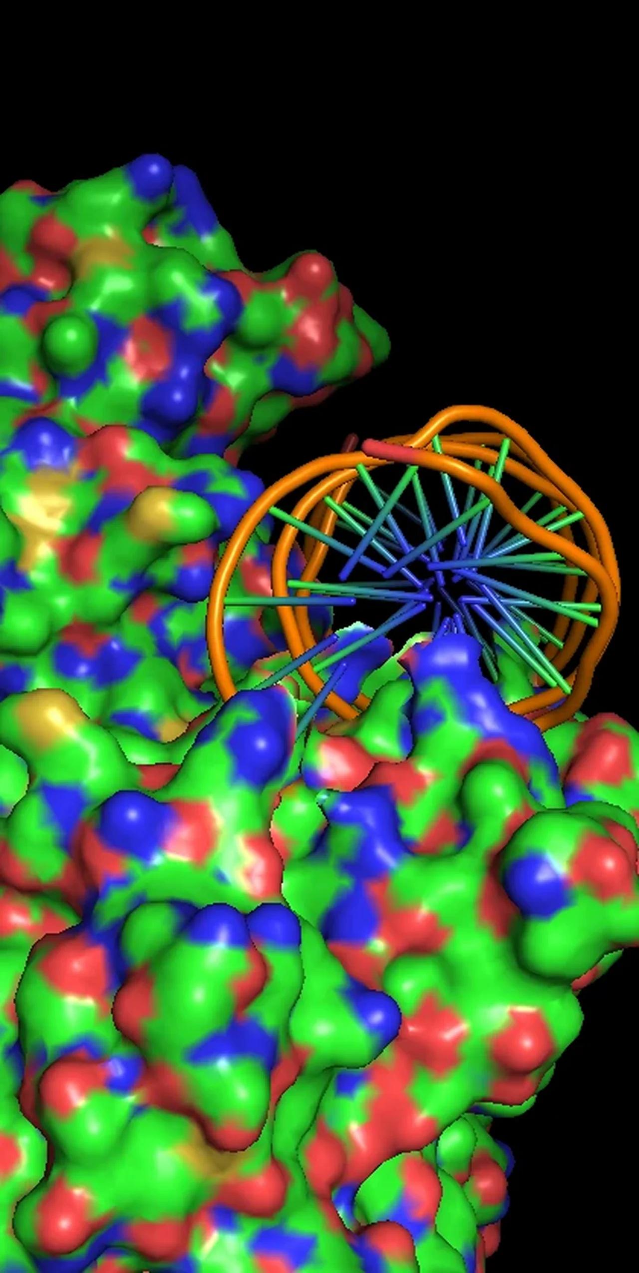 Navigating the P53 Protein using Python and PyMol