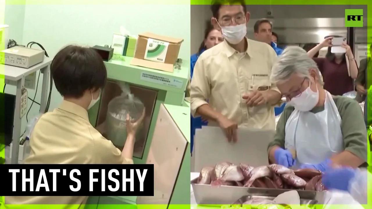 IAEA watch Japanese lab testing radiation in fish amid Fukushima water ...