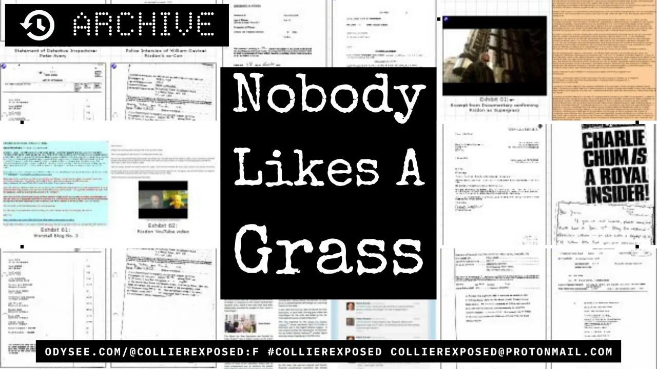 Nobody Likes A Grass - Peter William Risdon and Darius Guppy - Website ...