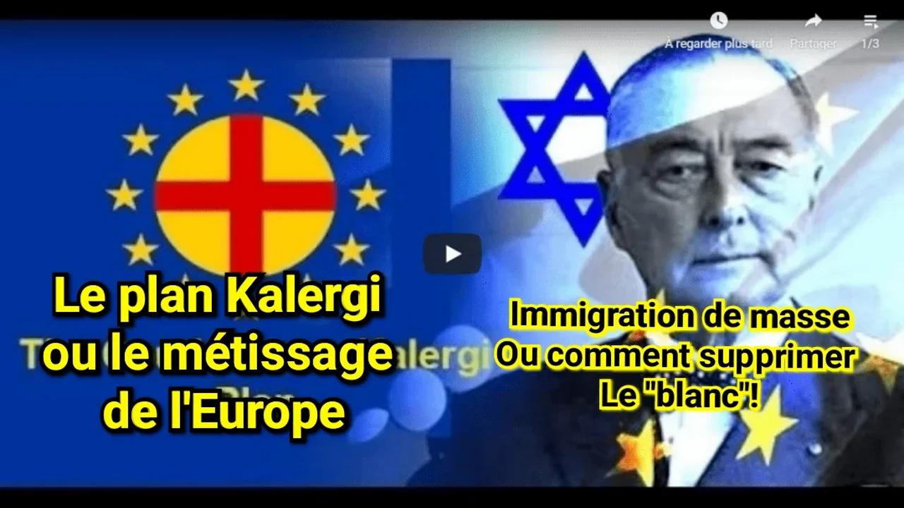 Plan Kalergi-Immigration de masse