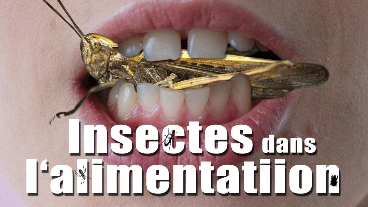 Dégoûtant – Le dossier « Insectes dans l'alimentation