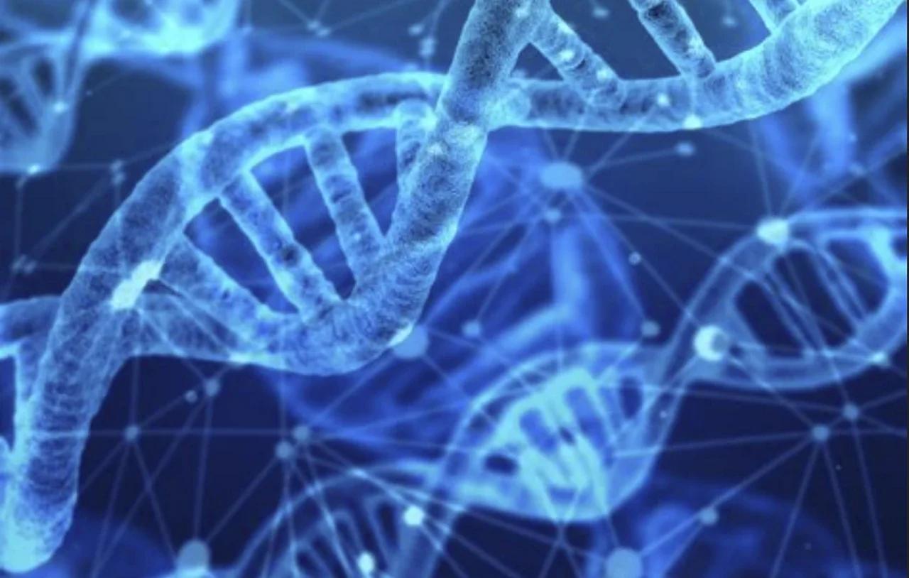 12 Stranded DNA Activation March 2023