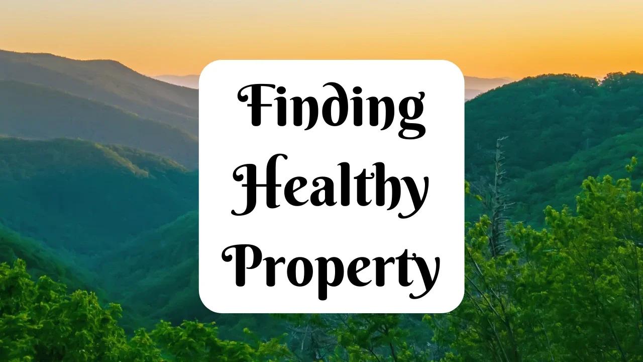 Finding Healthy Property: Land for Healing, Homesteading, & More