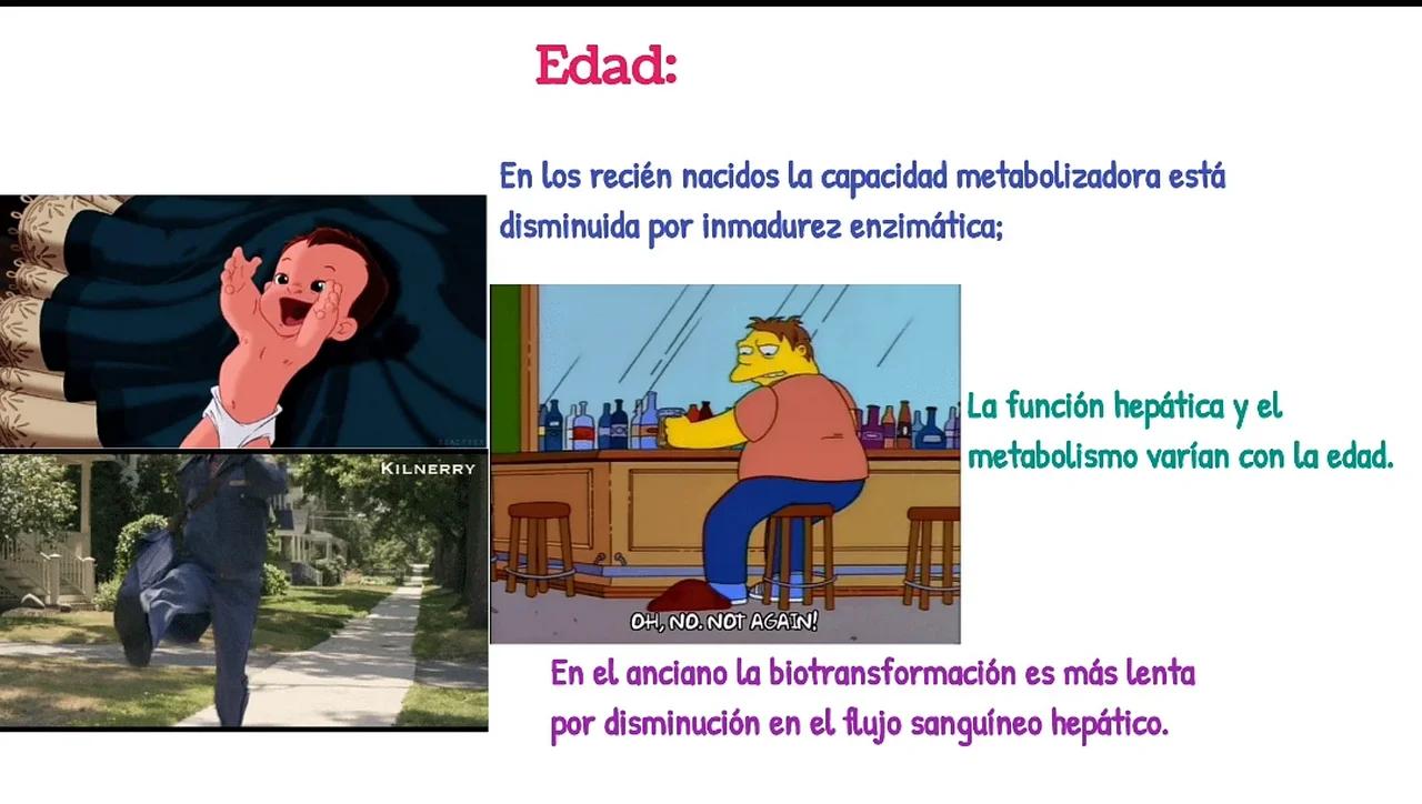 Tama_2c_farmacocinetica_metabolismo.