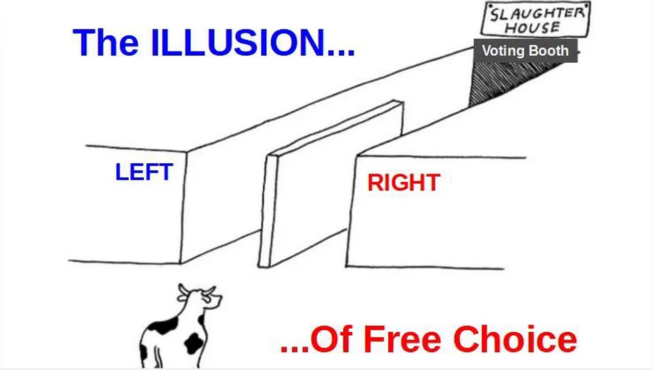 An Inconvenient Reality 7772666 Probably Alexandra