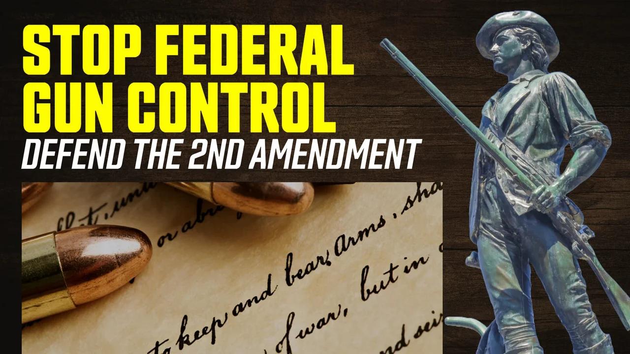 2nd Amendment Founders Blueprint To Defeat Gun Control