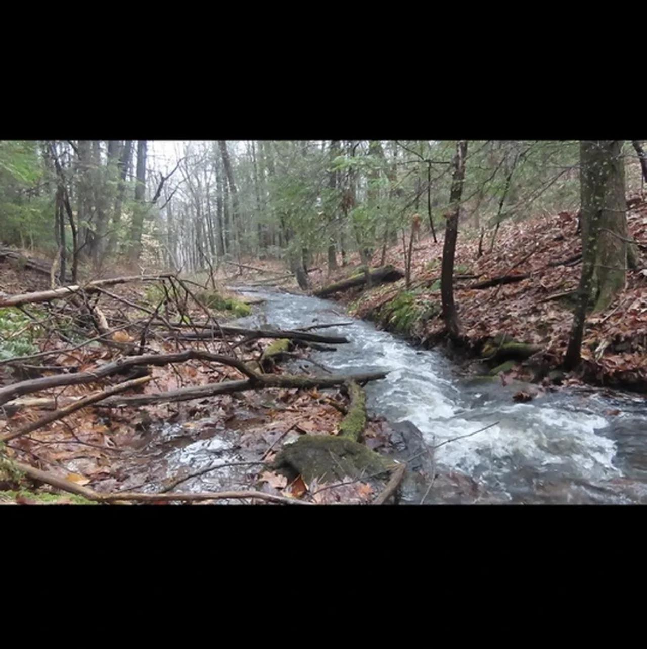 A Local Brook Swollen From Rain and Snow-melt (2) 17Mar2025