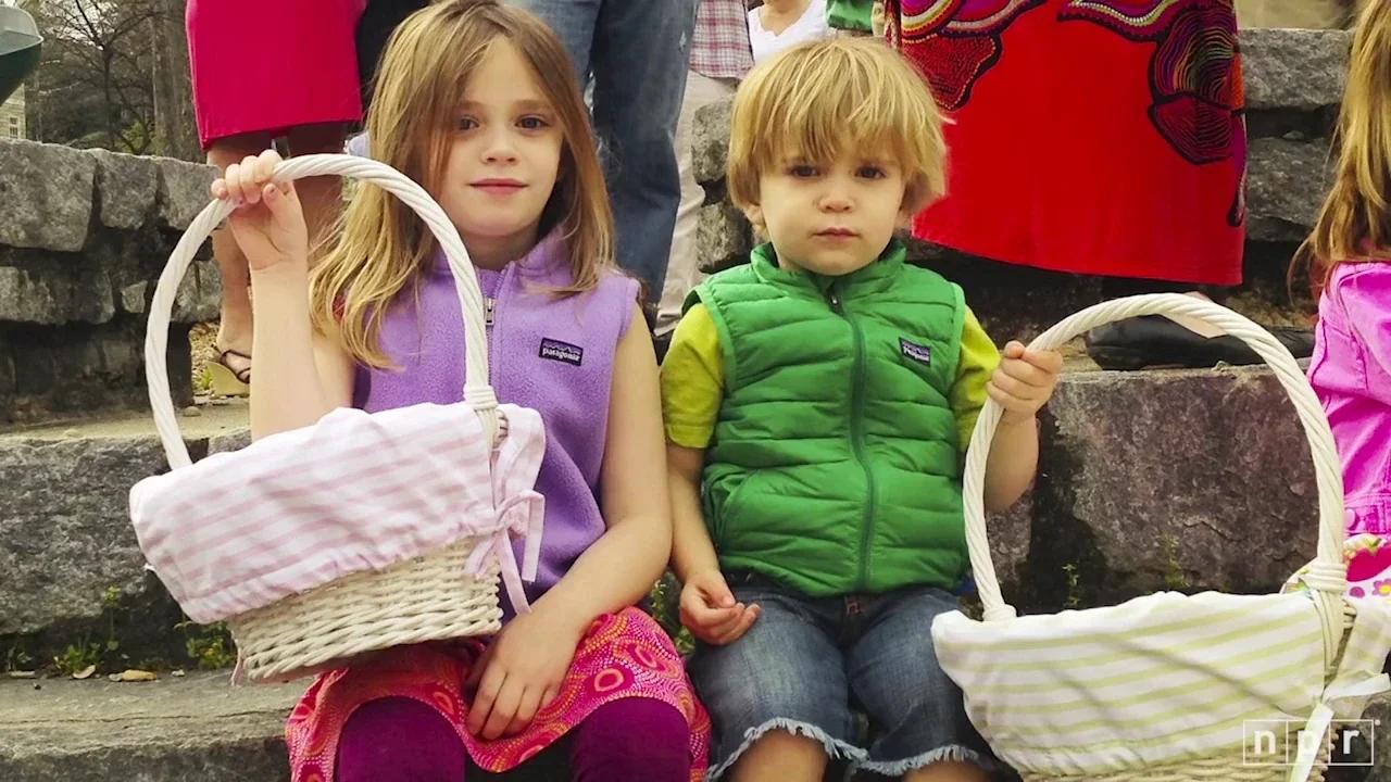 Clever Hansel Effect: Limbic Limbo