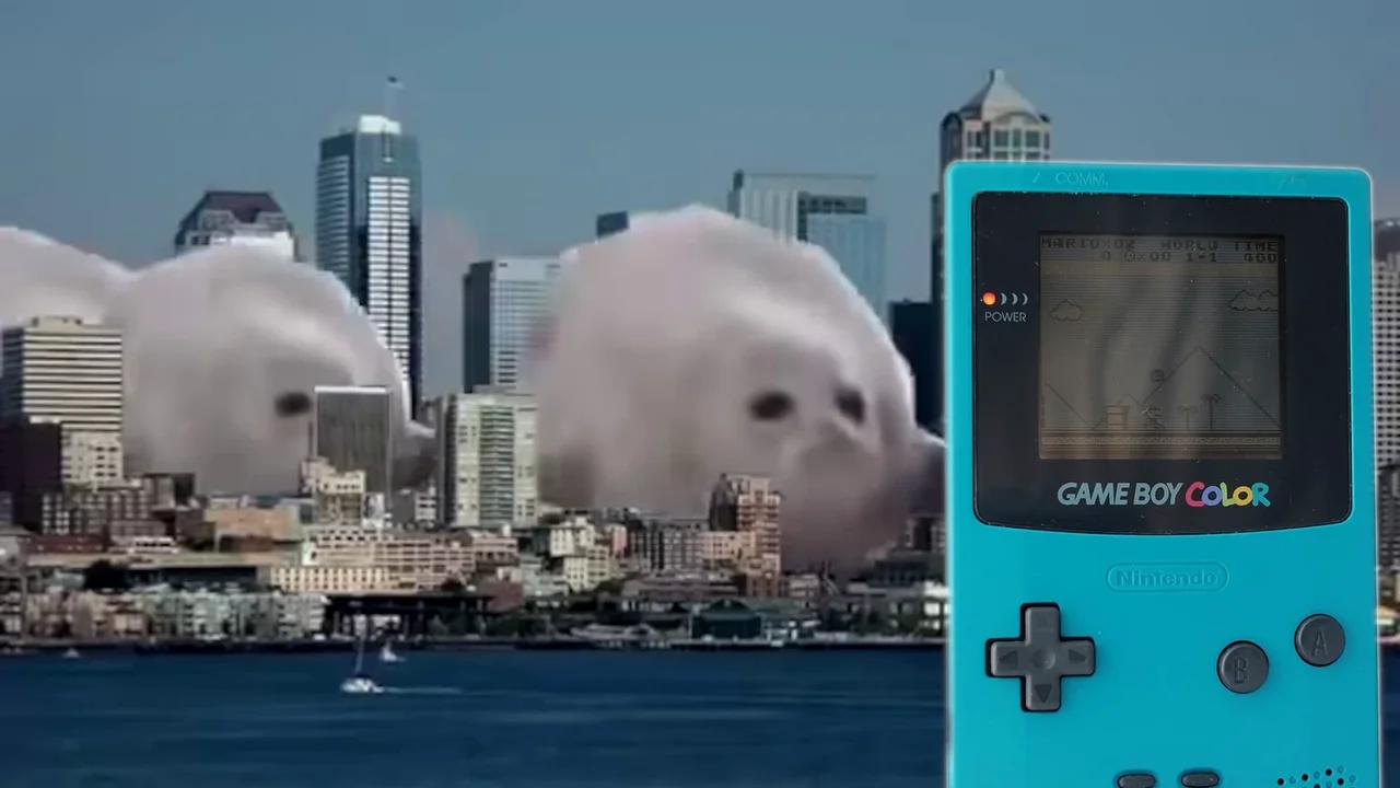 Bouncing Seals But Audio Is Recorded From Real Hardware