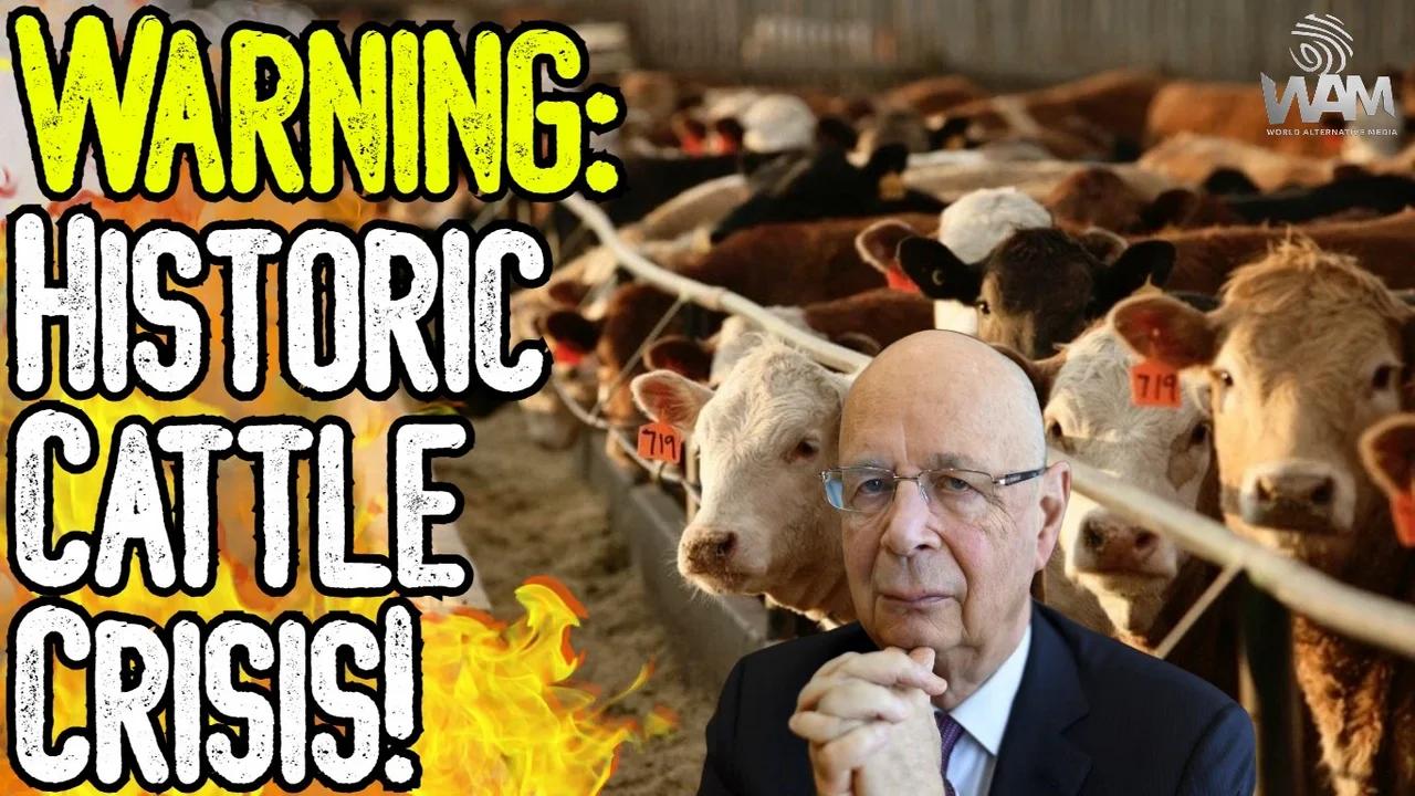 WARNING: HISTORIC CATTLE CRISIS! - Shortages Are Destroying Farms As ...