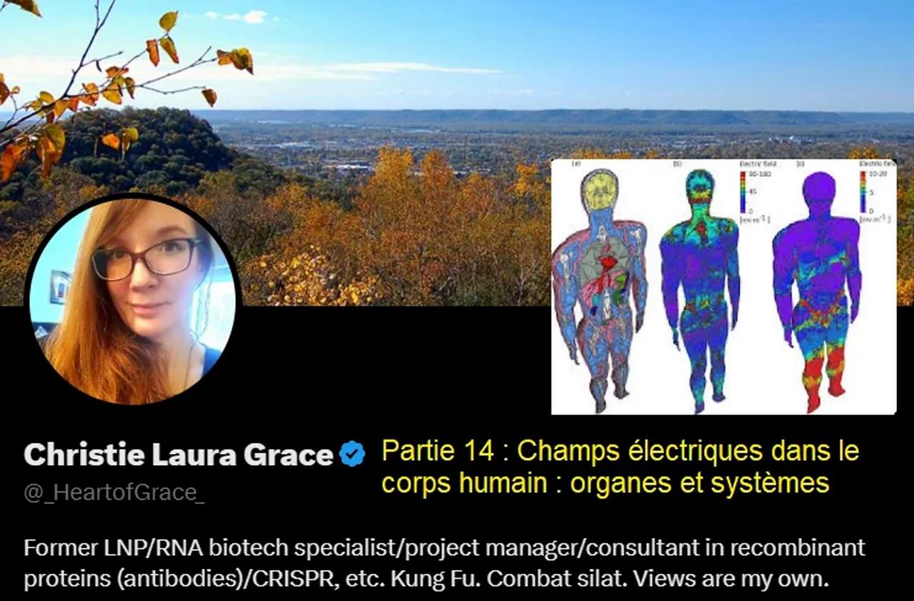 Nanoparticules lipidiques et champs électriques dans le corps. Christie Laura Grace
