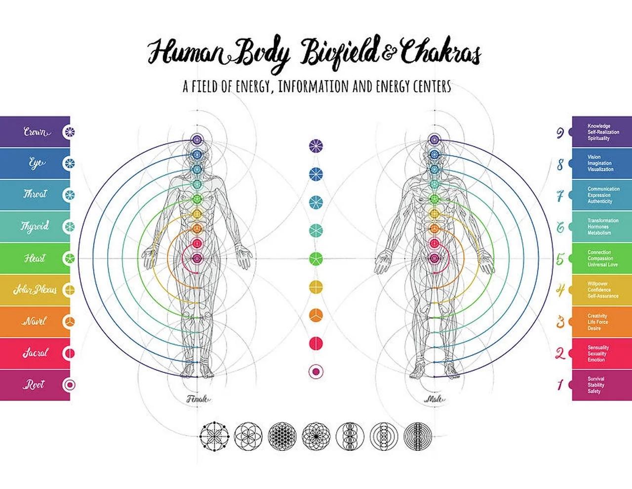 Biohacking ~ Human Augmentation contrast 3