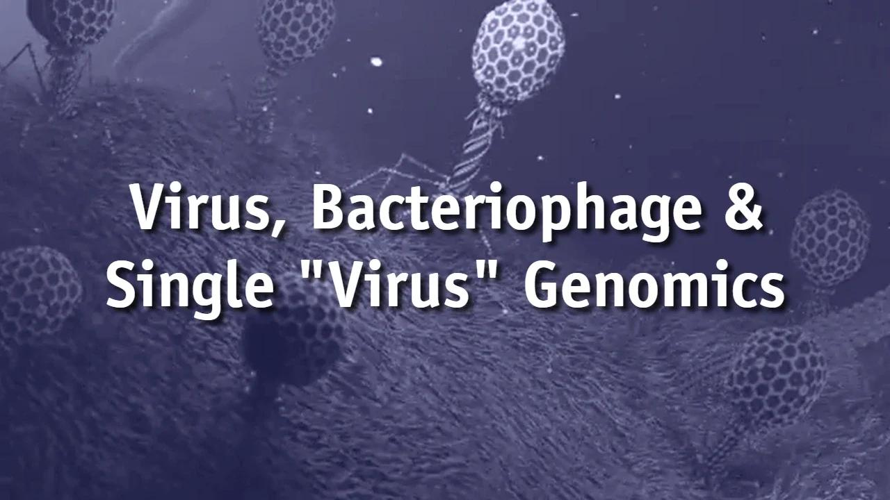 Virus, Bacteriophage & Single "Virus" Genomics