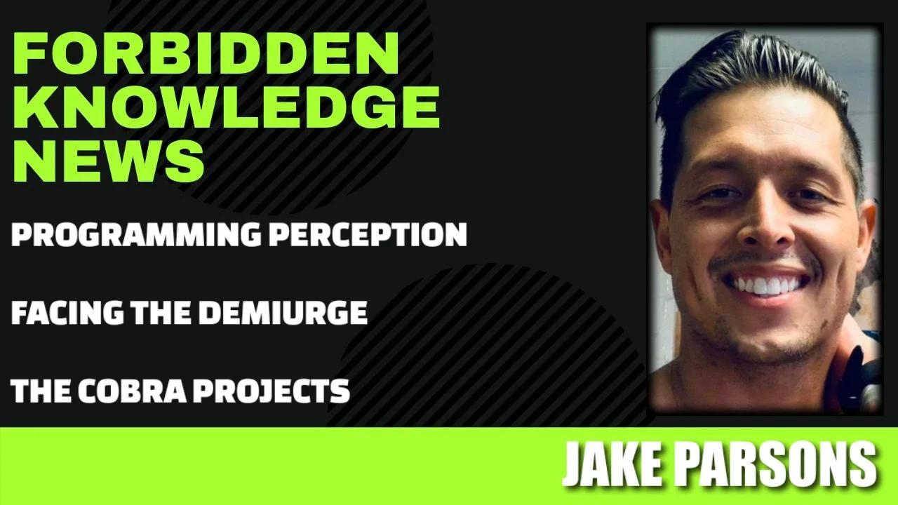 Programming Perception - Facing The Demiurge - The Cobra Projects w ...