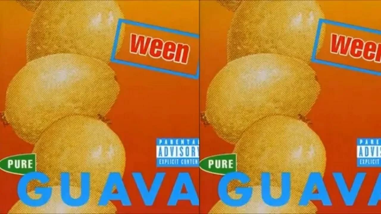 WEEN - Pure Guava [FULL ALBUM, PLAYFUL LO-FI ROCK]