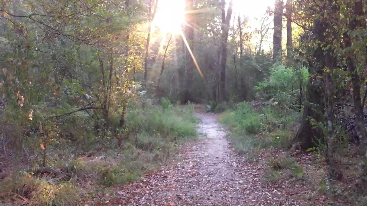 Lots of trails - Lee sounds like a train