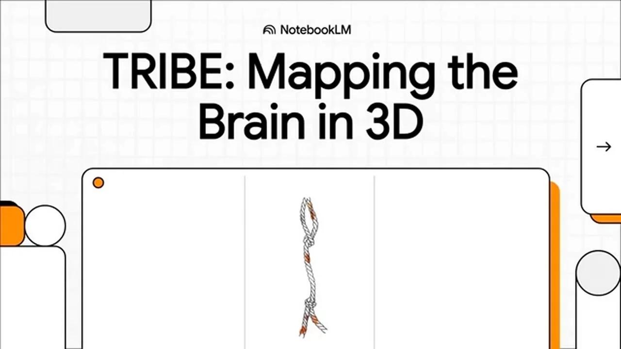 Meta TRIBE Отображает мозг в 3D