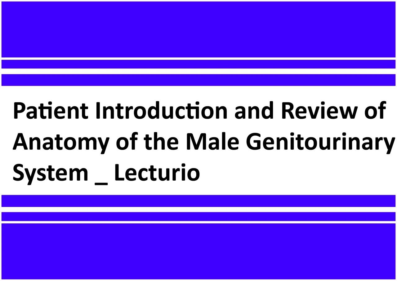 Patient Introduction and Review of Anatomy of the Male Genitourinary System