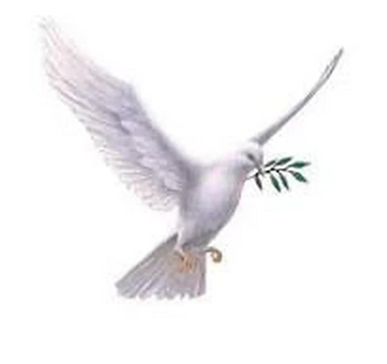 Order in the Tabernacle of YHUH Part A