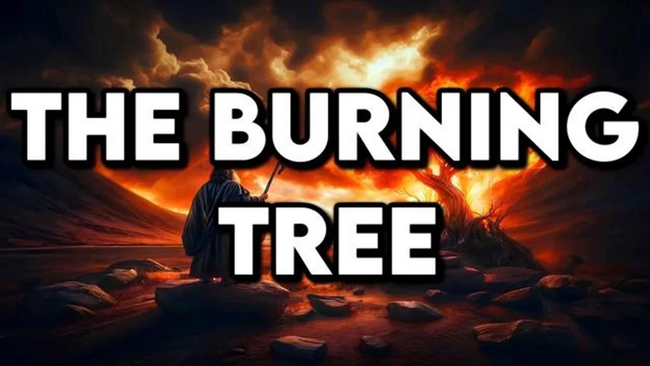 🔥The Burning Tree 🔥 ~By~ SilasSpeaks