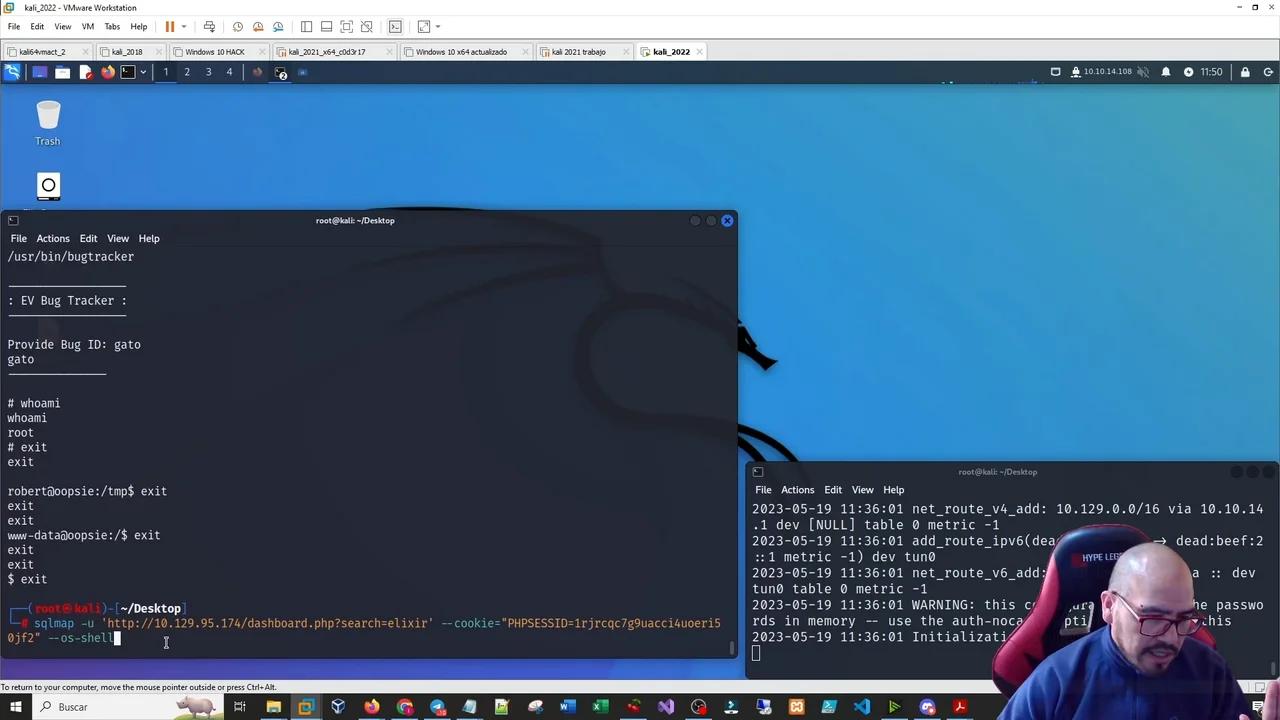 shell interactiva linux shell interactiva linux