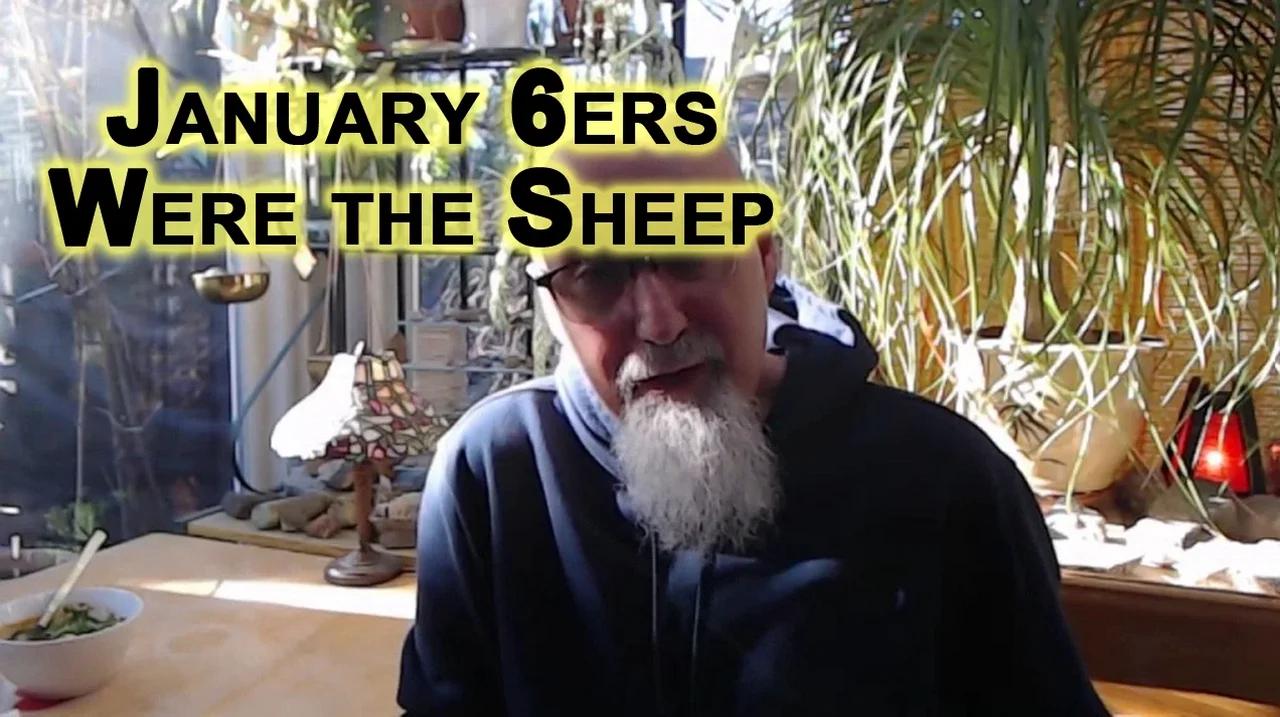 January 6ers Were the Sheep, Herded to the Slaughter by FBI Agent ...