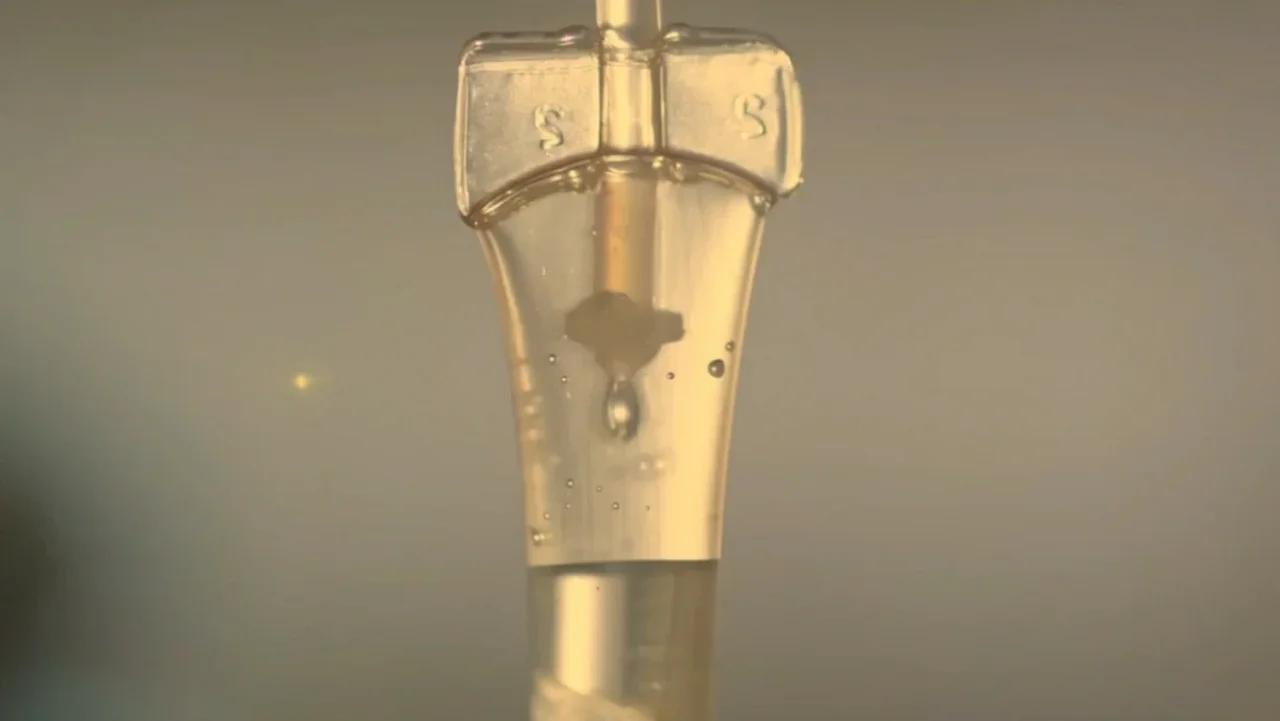 CDs Protocolo E - Enema clínico