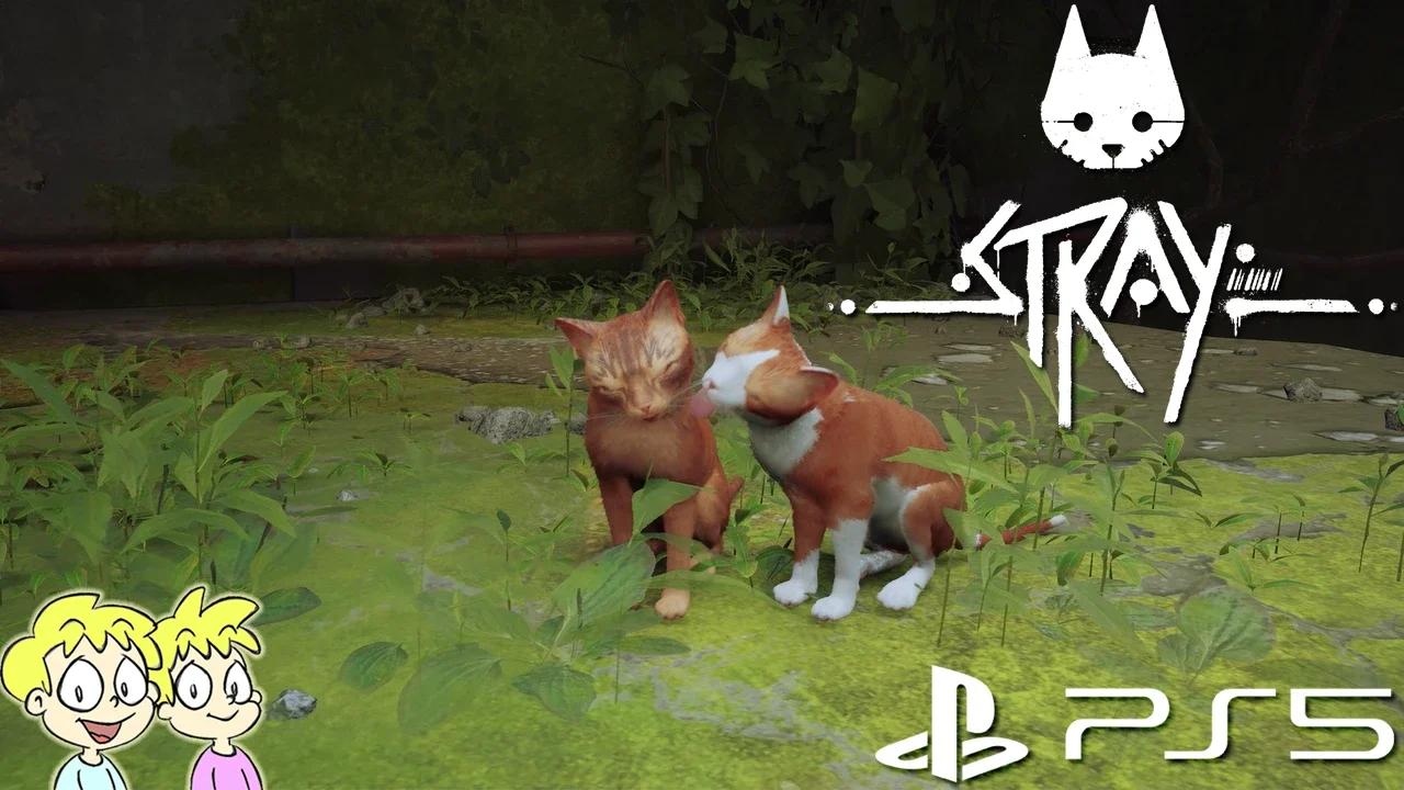 Stray - PlayStation 5 Gameplay #BennyBros🎮