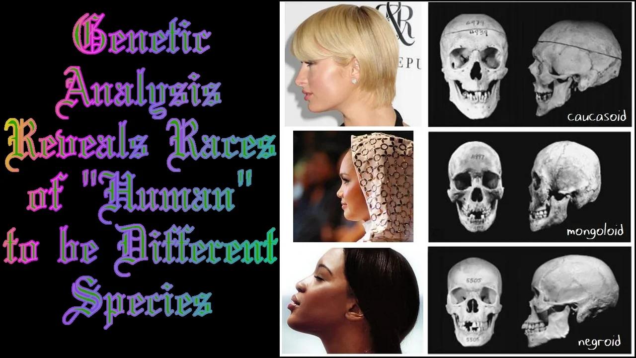 Research: Races of Humans are Actually Different Species