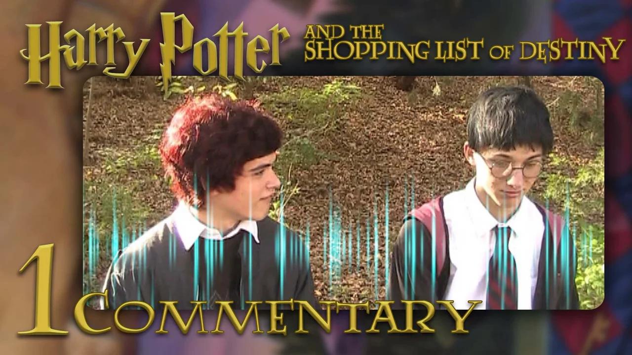 Harry Potter and the Shopping List of Destiny (2010 Commentary)