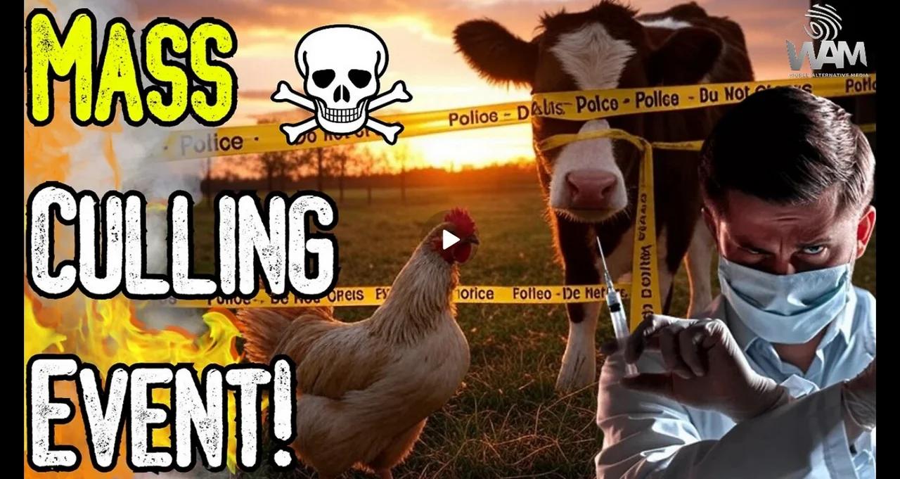 MASS CULLING EVENT! - Bird Flu Hoax Leads To Culling Of Millions Of ...
