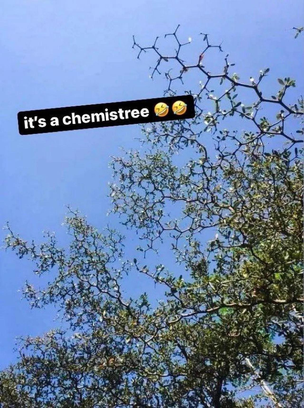 Chemistree