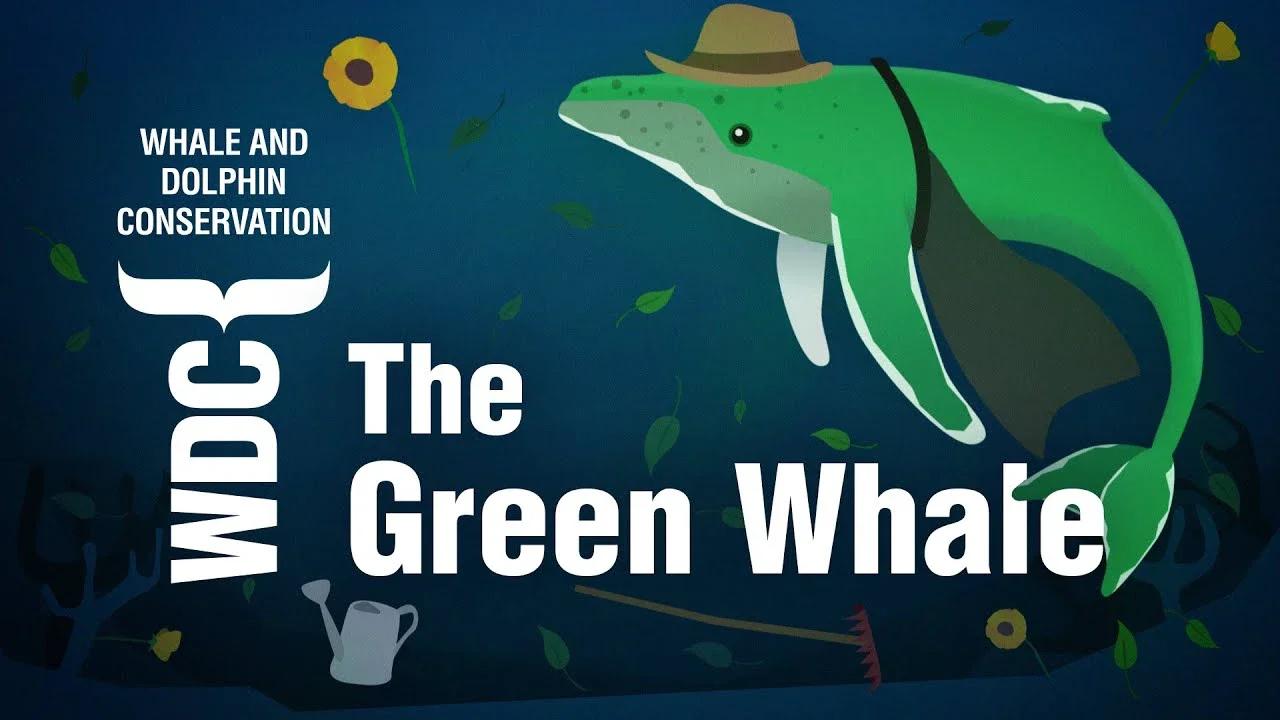 The Green Whale - Climate Giants can help save the planet | Whale and ...