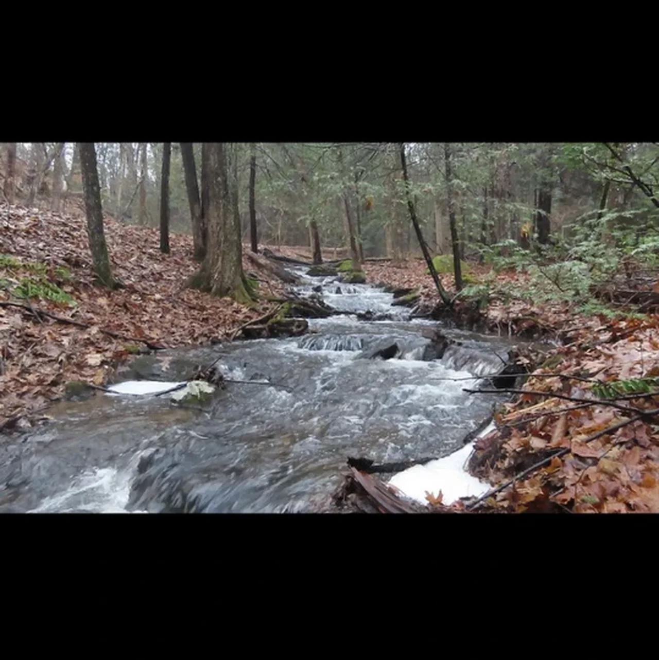 A Local Brook Swollen From Rain and Snow-melt (1) 17Mar2025