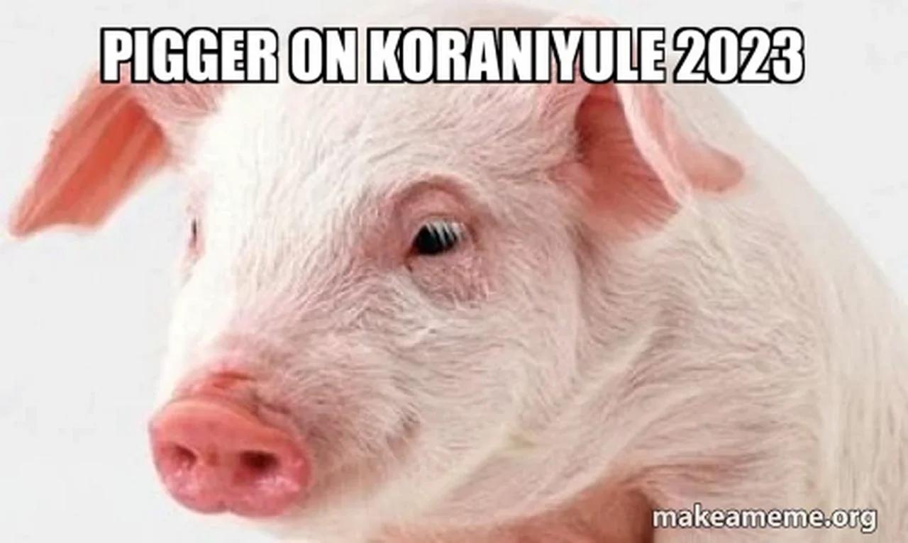 Pigger on the 14th Koraniyule 2023